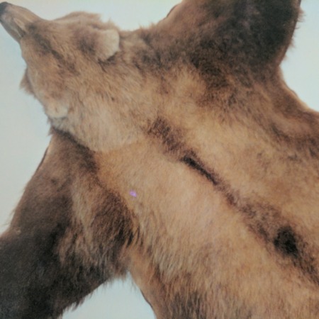 FEDERAL AMMUNITION 370 SAKO MAG 286gr NOSLER PARTITION; 9.3×66 ...