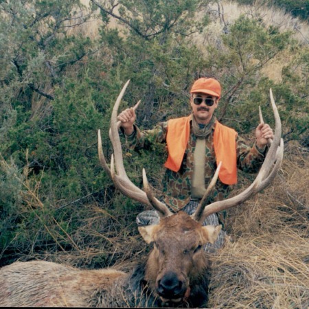 STOCK SAKO AV HUNTER LEFT HAND, OIL, MATTE LACQUER, OR LACQUER; IN ...